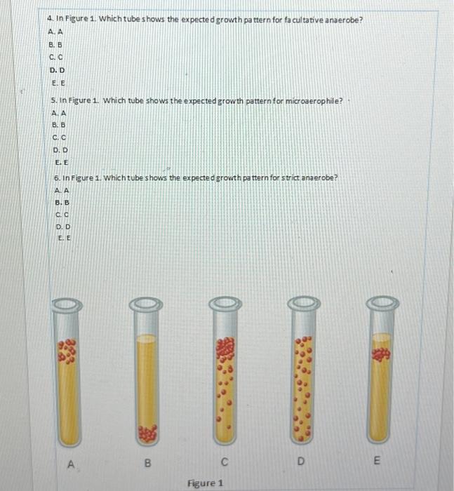 4. In Figure 1. Which tube shows the expected growth | Chegg.com