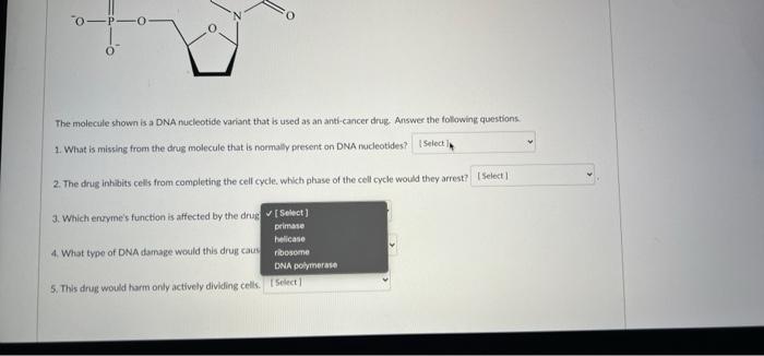 Solved NH2 To 1 The molecule shown is a DNA nucleotide | Chegg.com