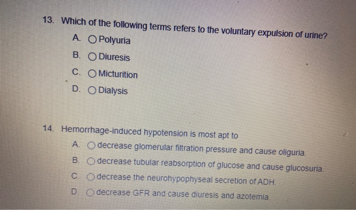 Solved 11. The urinary meatus A. O is located at the distal | Chegg.com