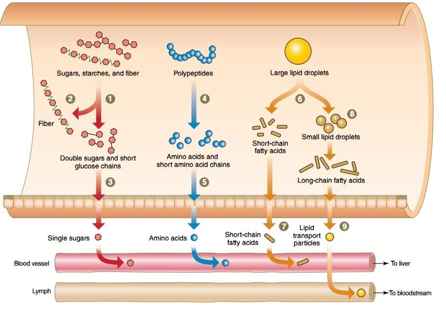 Solved Can Someone Please Help Me With All!!!!! A. what | Chegg.com