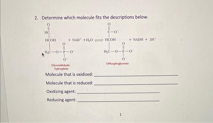 Solved 2. Determine which molecule fits the descriptions | Chegg.com