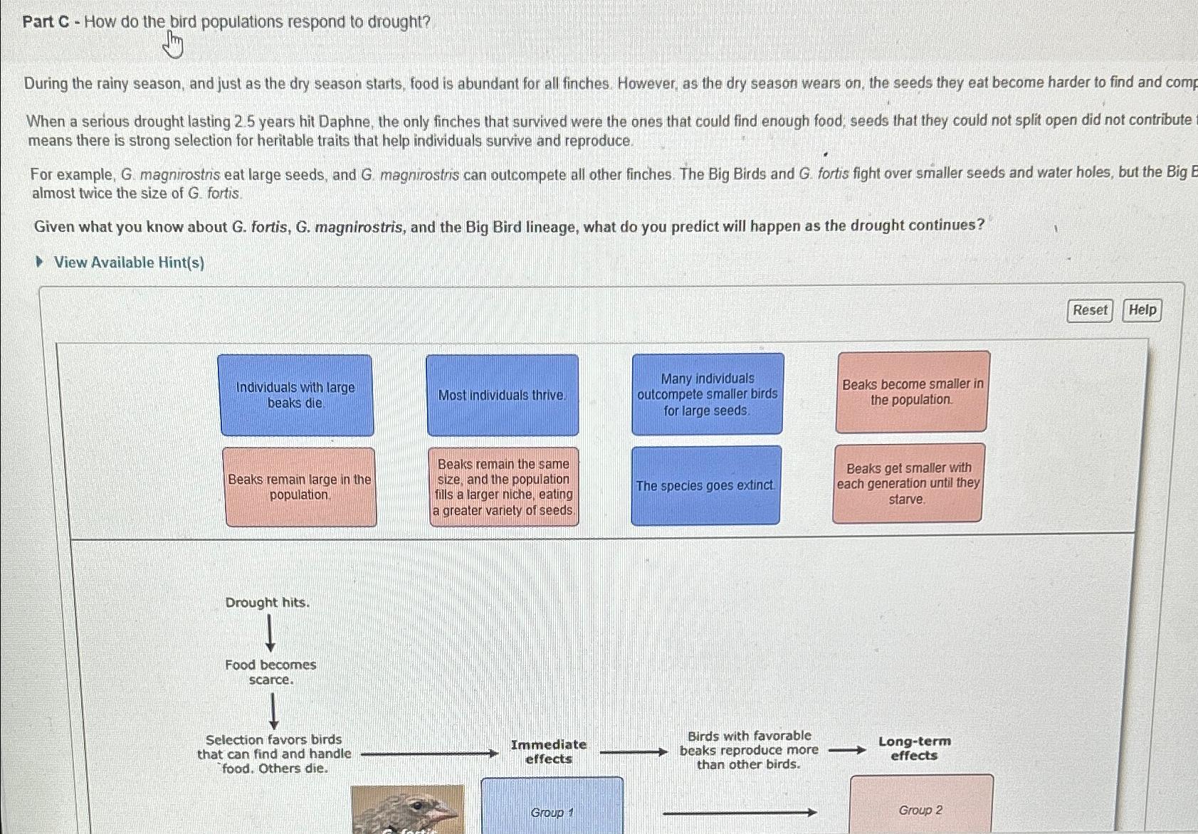 Solved Part C - ﻿How do the bird populations respond to | Chegg.com