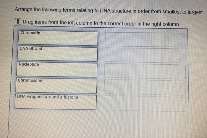 Solved Arrange the following terms relating to DNA structure | Chegg.com