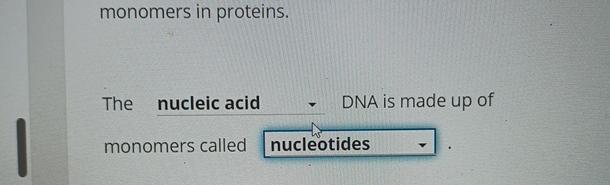 Solved monomers in proteins.Thenucleic acid DNA is made up | Chegg.com
