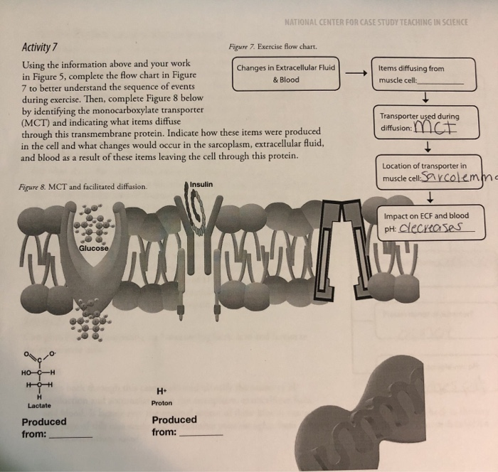 Solved NATIONAL CENTER FOR CASE STUDY TEACHING IN SCIENCE | Chegg.com