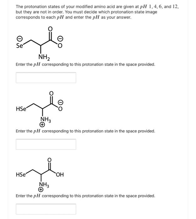 Solved The protonation states of your modified amino acid | Chegg.com