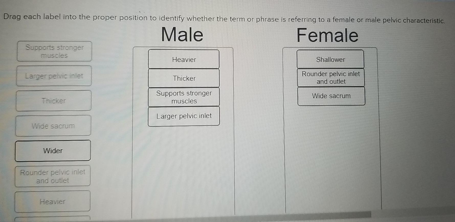 Solved Drag each label into the proper position to identify | Chegg.com