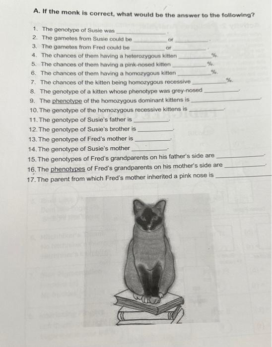 Solved A. If the monk is correct, what would be the answer | Chegg.com