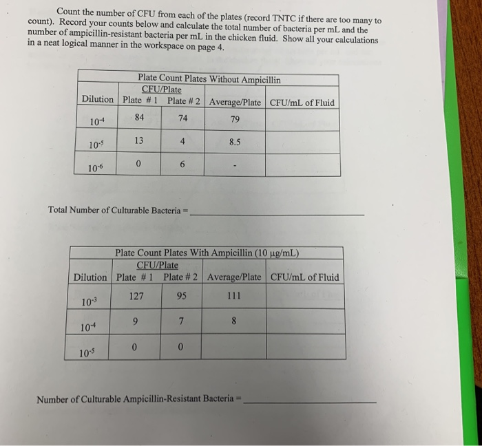 Solved Count the number of CFU from each of the plates | Chegg.com