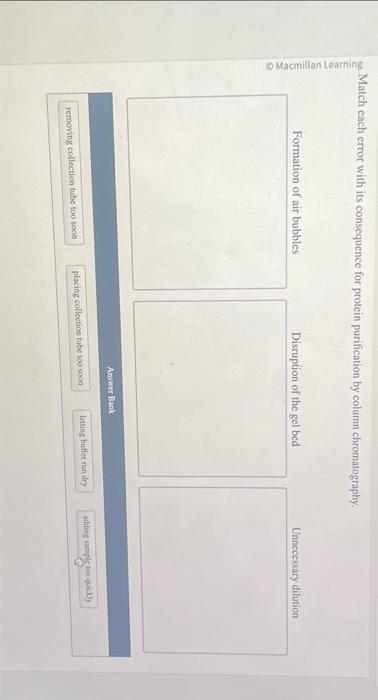 Solved Match each error with its consequence for protein | Chegg.com
