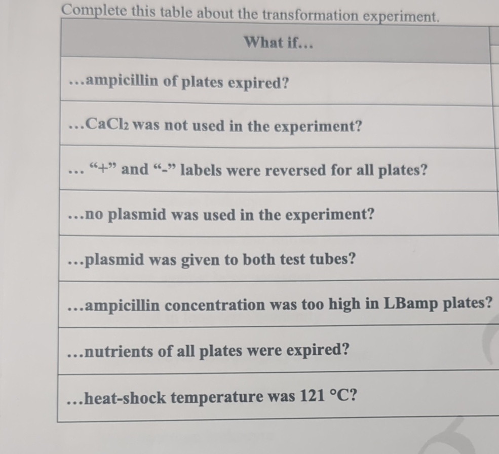 Solved Complete this table about the transformation | Chegg.com