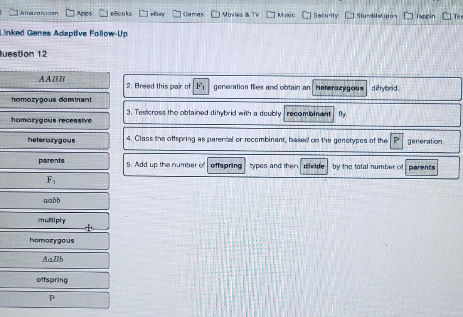 Solved Linked Genes Adaptive Follow-Up vestion 12 2. Breed | Chegg.com