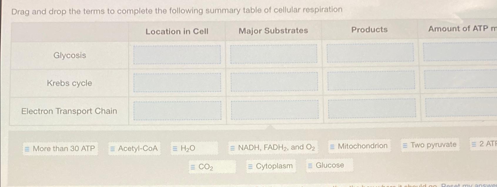 Solved Drag and drop the terms to complete the following | Chegg.com