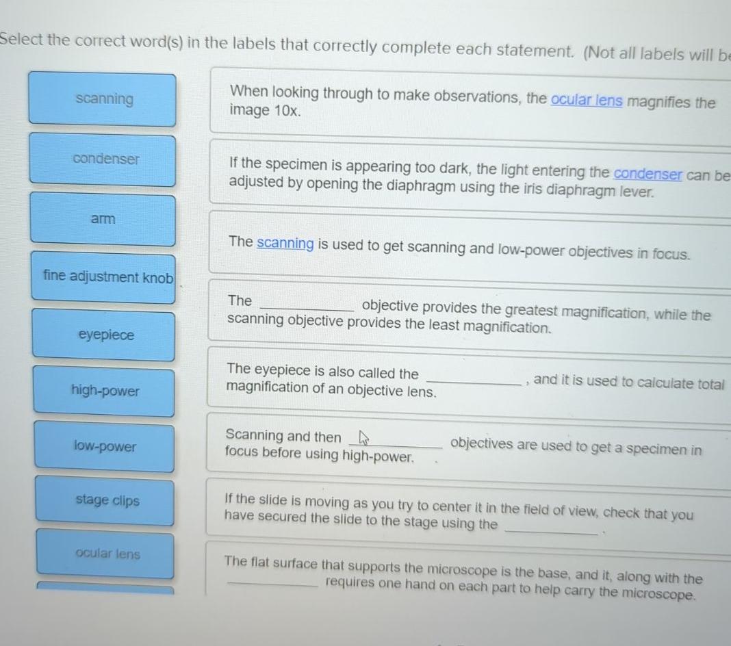 Solved Select the correct word(s) ﻿in the labels that | Chegg.com