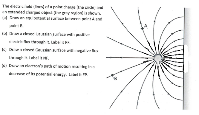 Solved The electric field (lines) ﻿of a point charge (the | Chegg.com