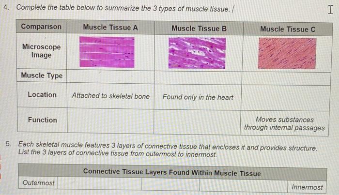 Solved 4. Complete the table below to summarize the 3 types | Chegg.com
