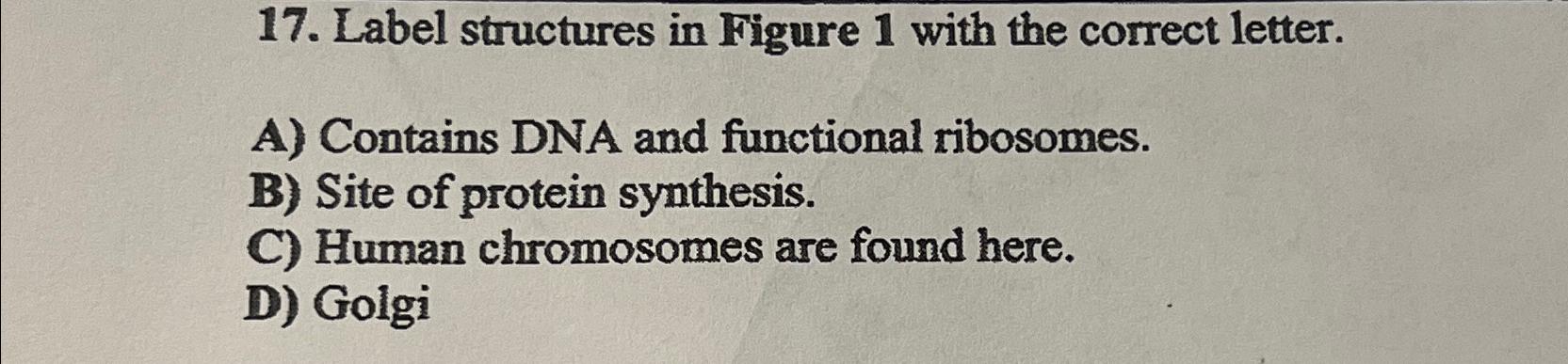 Solved Label structures in Figure 1 ﻿with the correct | Chegg.com