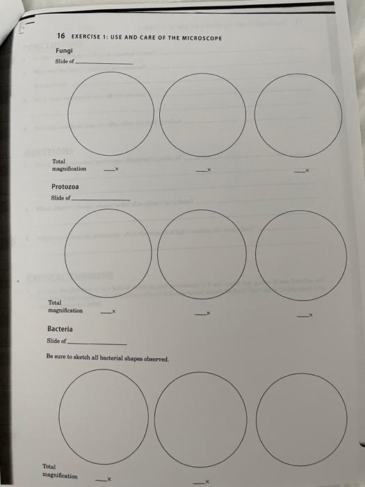 Name: Date: Lab Section EXERCISE LABORATORY REPORT | Chegg.com