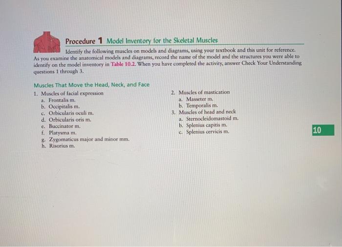 Procedure 1 Model Inventory for the Skeletal Muscles | Chegg.com