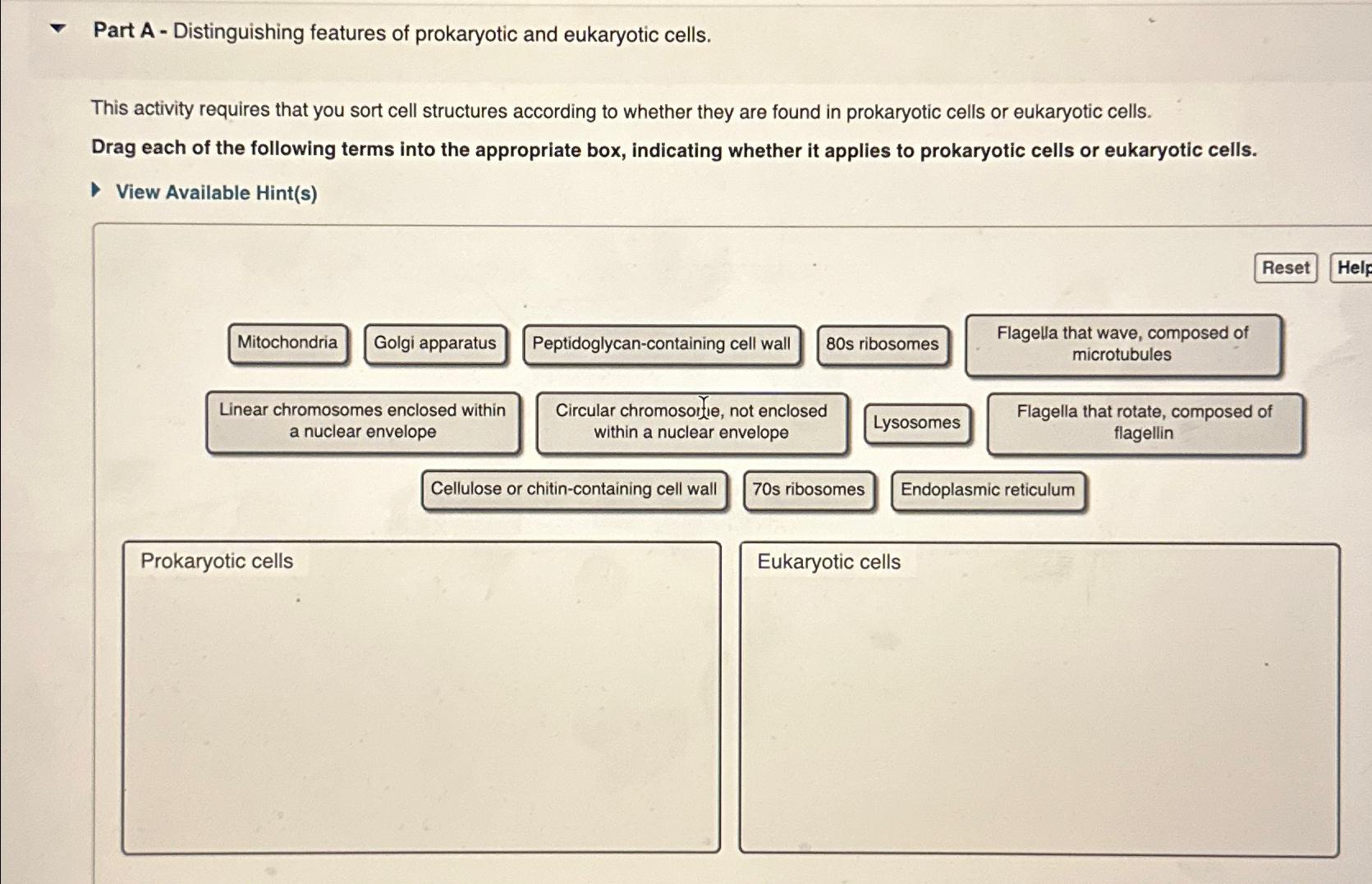 Solved Part A - ﻿Distinguishing features of prokaryotic and | Chegg.com