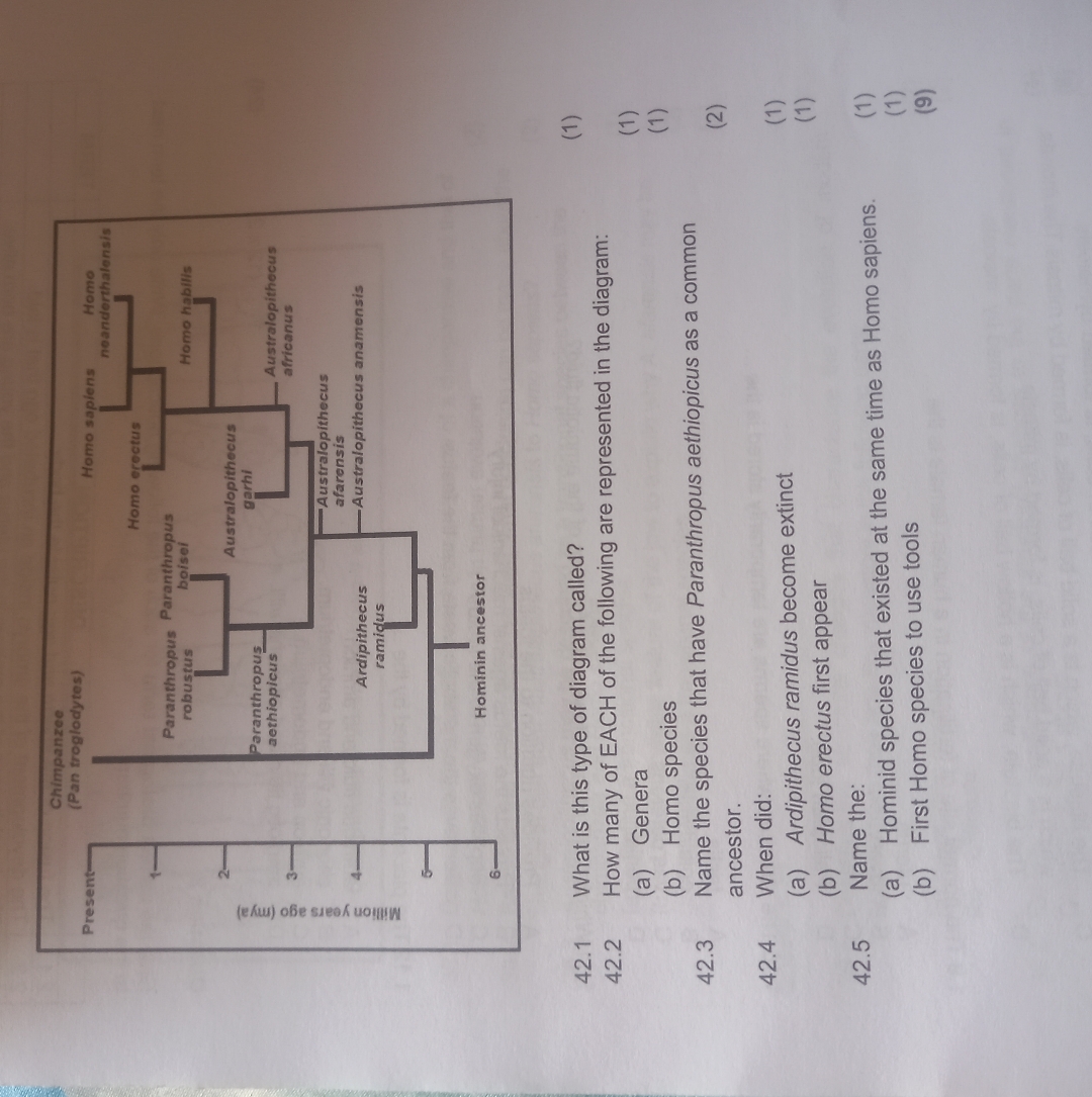 42.1 ﻿What is this type of diagram called?(1)42.2 | Chegg.com