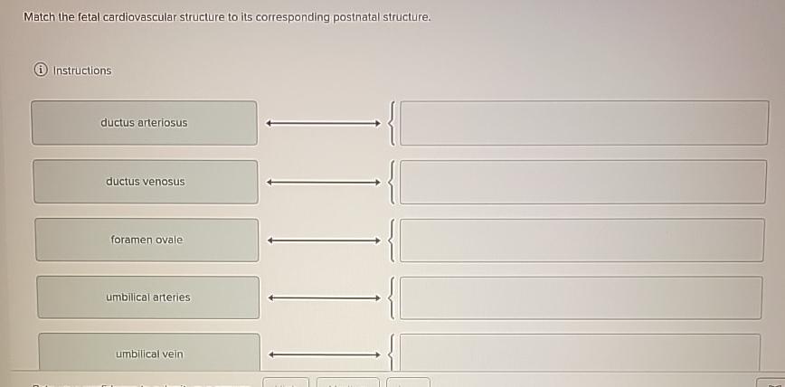 Solved Match the fetal cardiovascular structure to its | Chegg.com