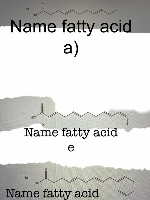Solved HO Name fatty acid a) HO Name fatty acid e h) HO Name | Chegg.com