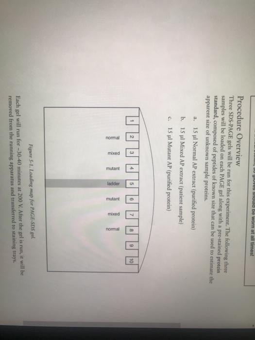 Solved completely label gel image 7.4SDS PAGE Complete | Chegg.com