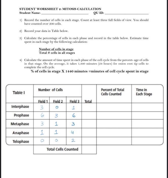 Solved STUDENT WORKSHEET 2: MITOSIS CALCULATION Student | Chegg.com