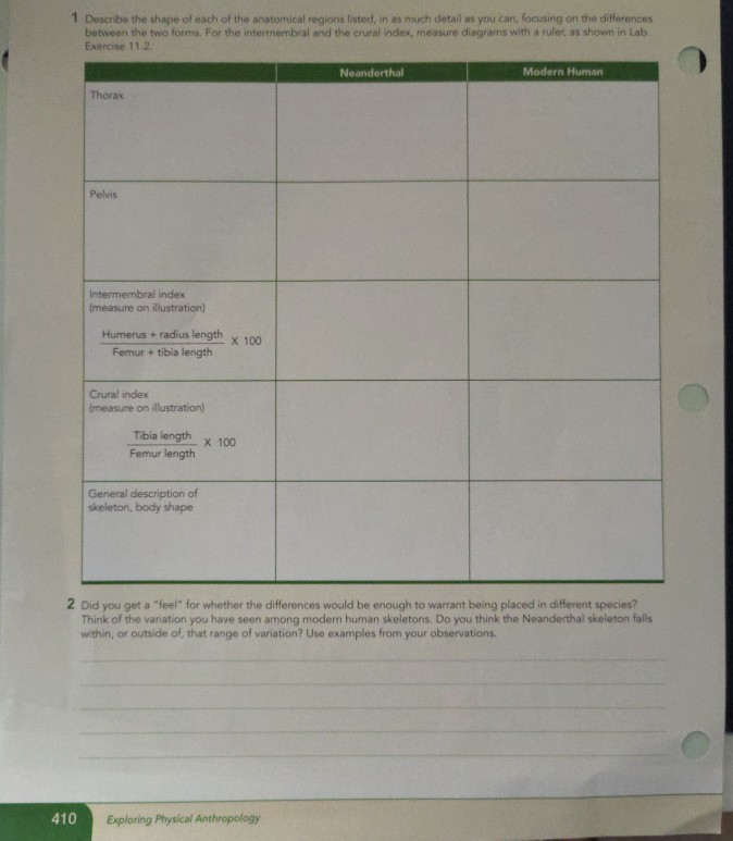 Solved 1 Describe the shape of each of the anatomical | Chegg.com
