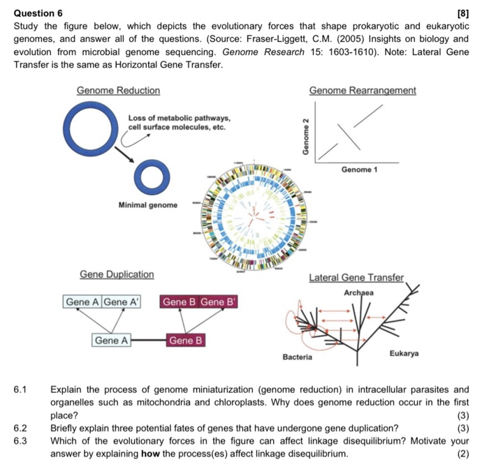 Solved Question 6 [8] Study the figure below, which depicts | Chegg.com