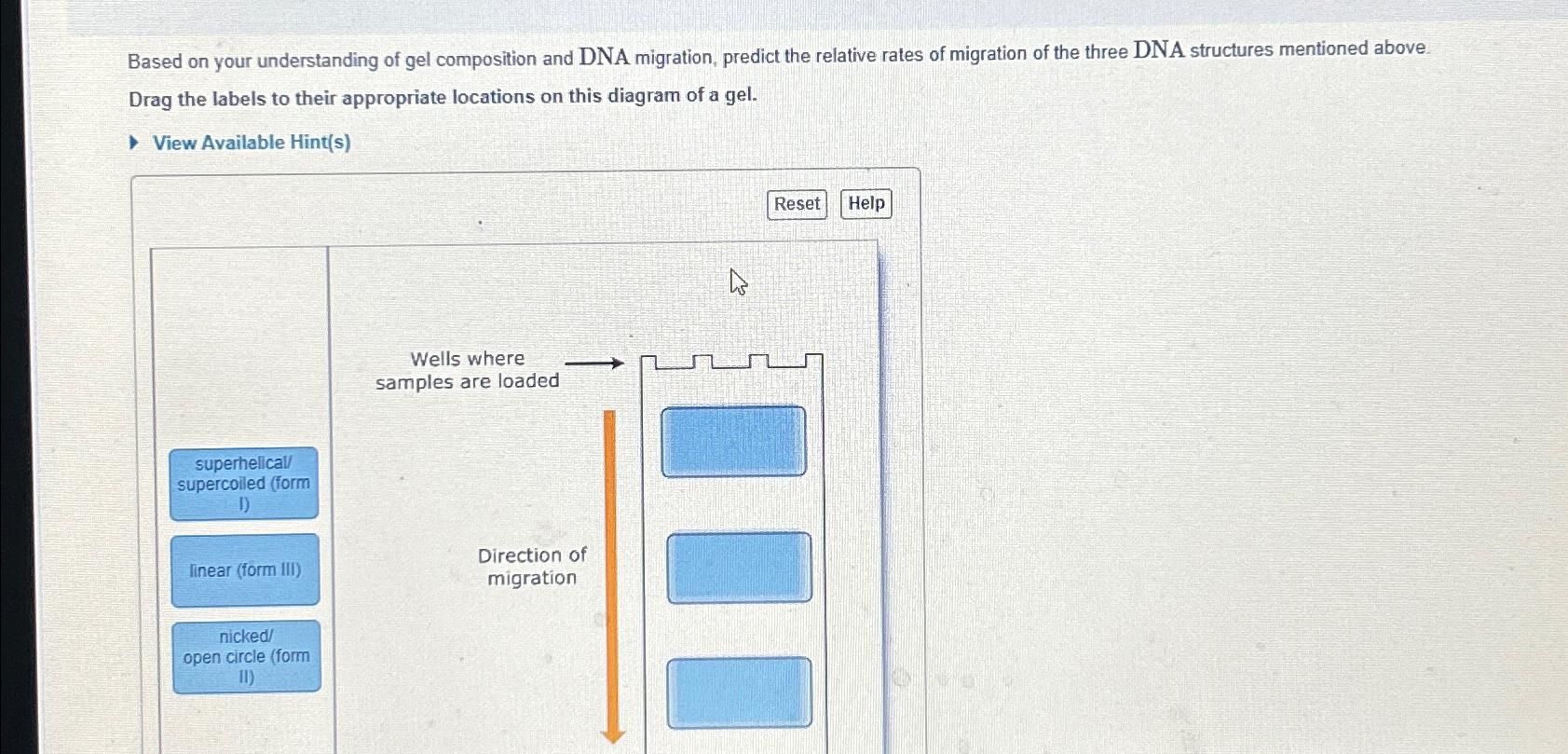 Solved Based on your understanding of gel composition and | Chegg.com