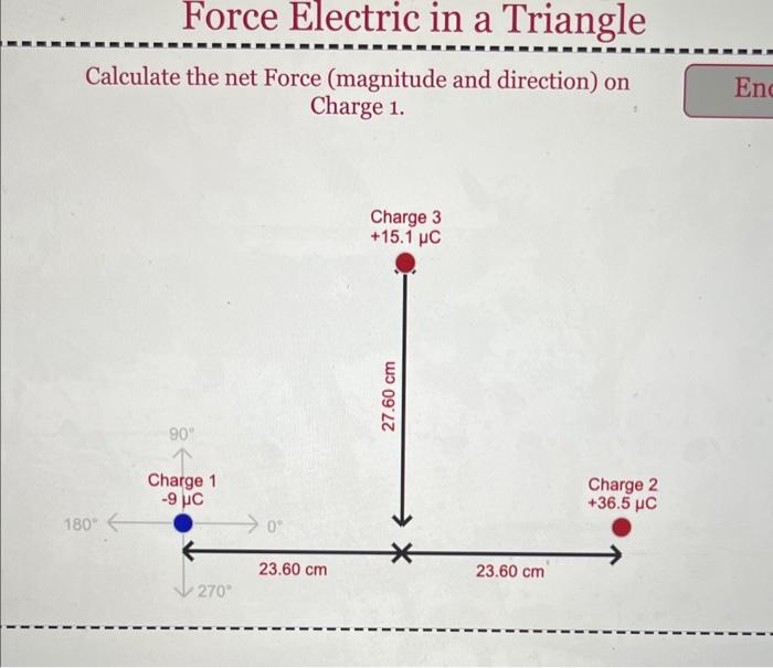 Solved Calculate the net Force (magnitude and direction) on | Chegg.com