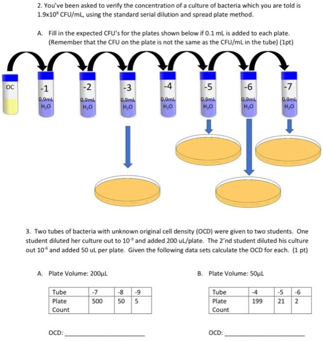 Solved Calculations for Agar Plate Counting of Bacteria 1. A | Chegg.com