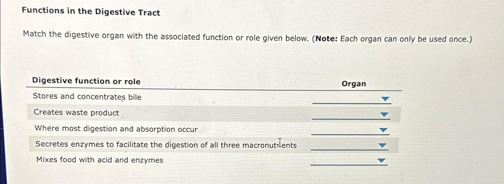 Solved Functions in the Digestive TractMatch the digestive | Chegg.com