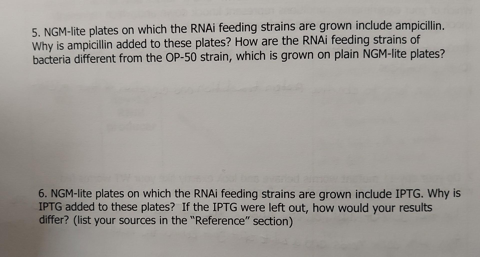 Solved 5. NGM-lite plates on which the RNAi feeding strains | Chegg.com