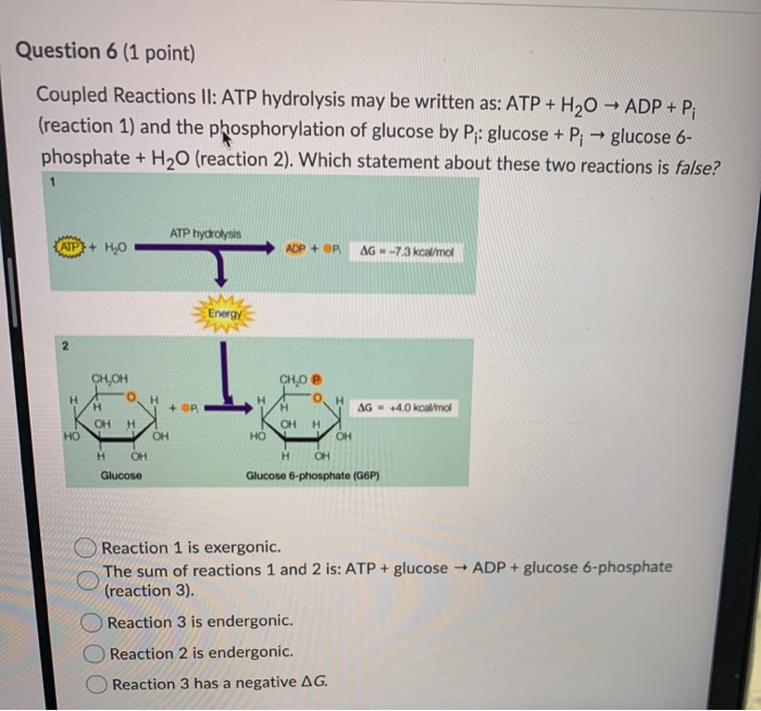 Solved Question 6 (1 point) Coupled Reactions II: ATP | Chegg.com