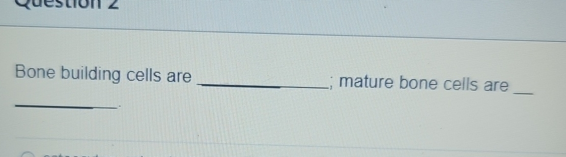 Solved Bone building cells are q, ﻿; mature bone cells are | Chegg.com