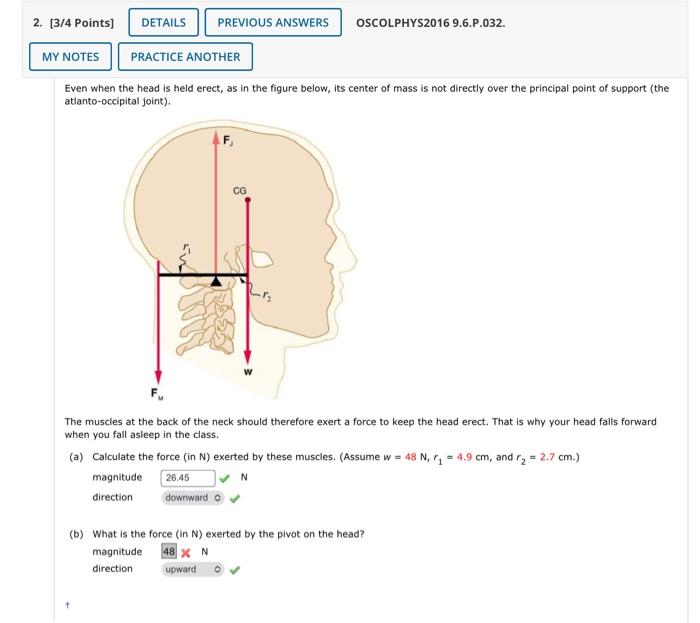 Solved Even when the head is held erect, as in the figure | Chegg.com