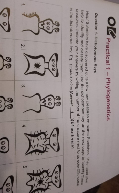 Solved OC Practical 1 - Phylogenetics Question 1- | Chegg.com