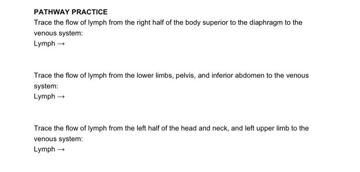 PATHWAY PRACTICE Trace the flow of lymph from the | Chegg.com