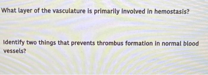 Solved What layer of the vasculature is primarily involved | Chegg.com