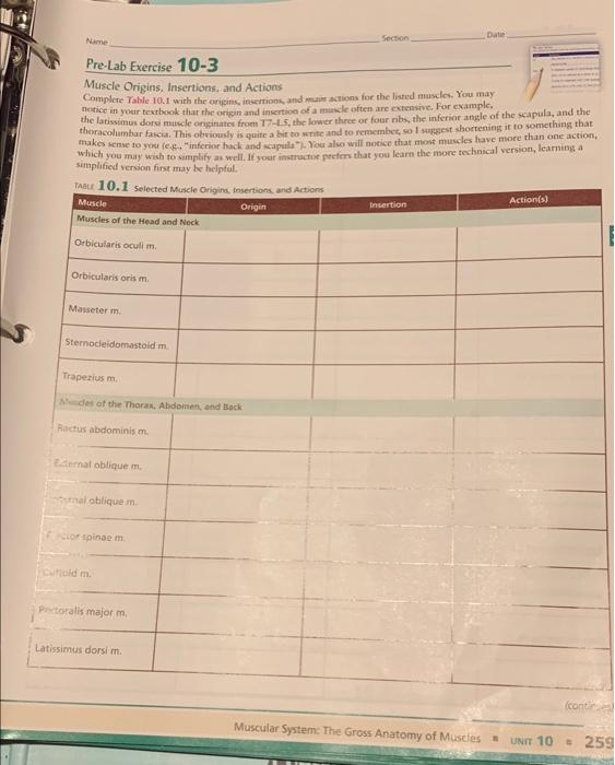 Solved Name Section Date Pre-Lab Exercise 10-3 Muscle | Chegg.com