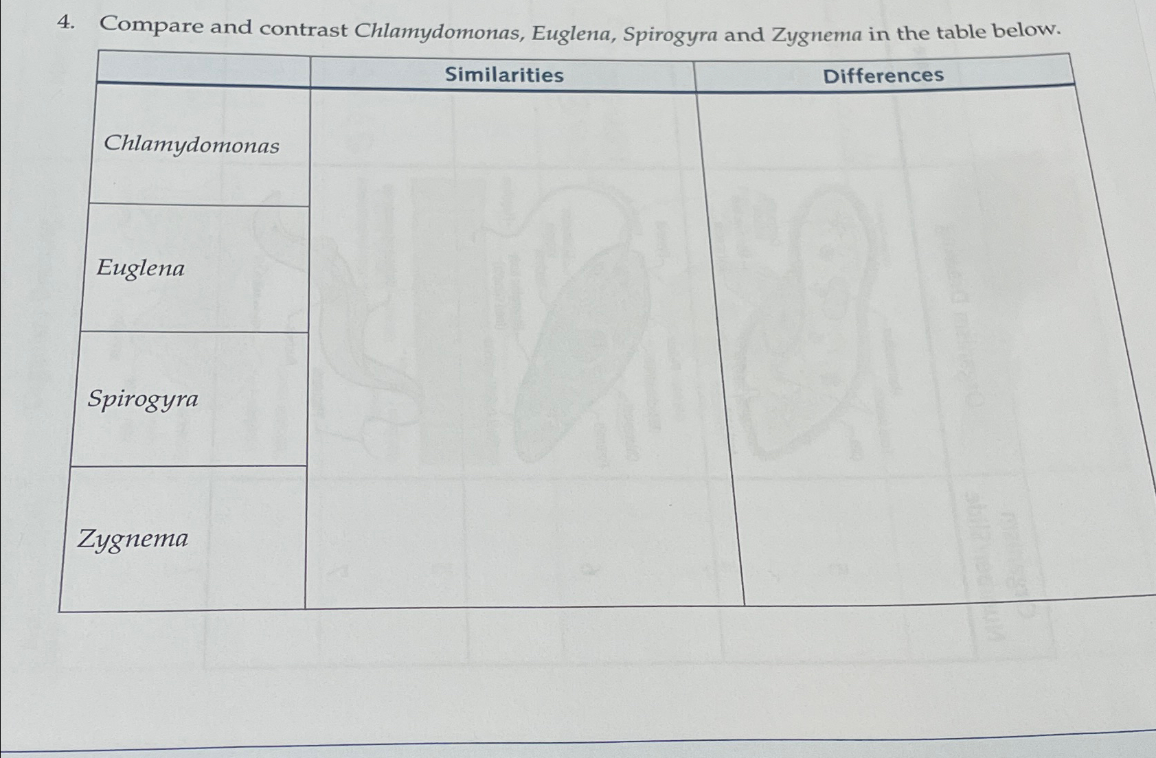 Solved Compare and contrast Chlamydomonas, Euglena, | Chegg.com