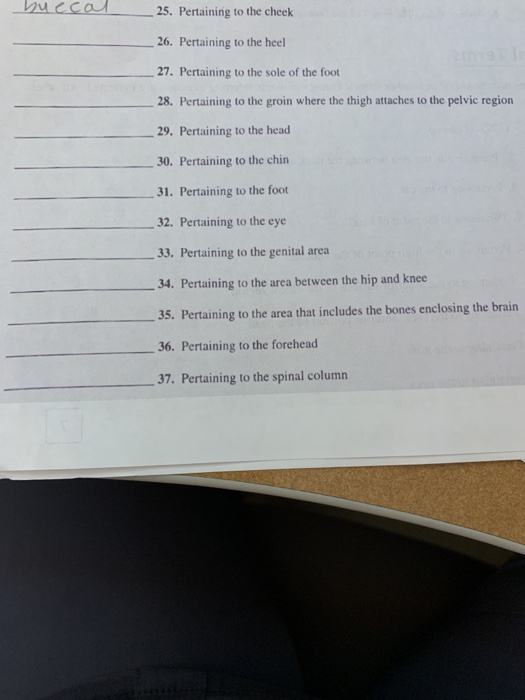 Solved buccal 25. Pertaining to the cheek 26. Pertaining to | Chegg.com