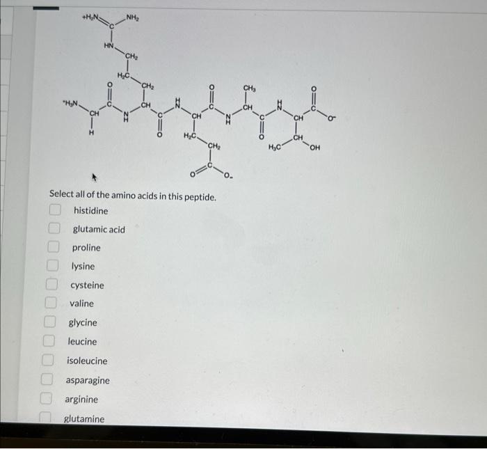 Solved Select all of the amino acids in this peptide. | Chegg.com