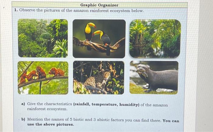 Solved 1. Observe the pictures of the amazon rainforest | Chegg.com