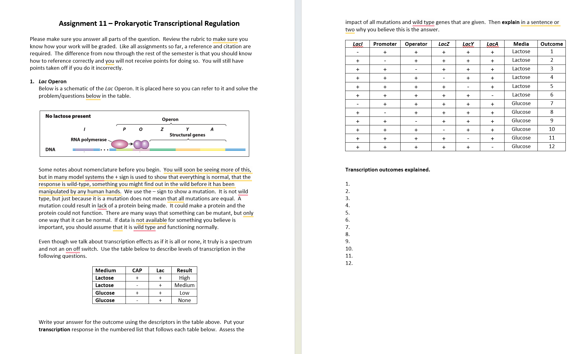 Solved Assignment 11 - ﻿Prokaryotic Transcriptional | Chegg.com