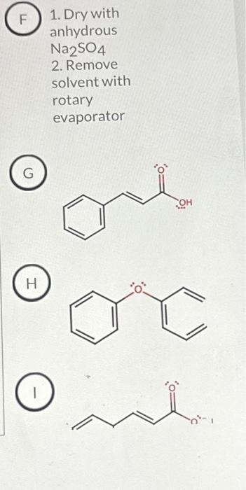Solved Complete the extraction scheme by labeling the | Chegg.com