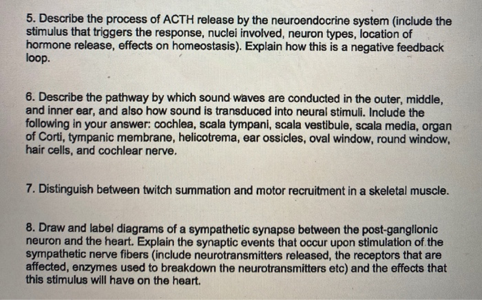 Solved 5. Describe the process of ACTH release by the | Chegg.com